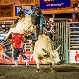 Ten Fun Things To Do During The 2016 Pendleton Round-Up « WeirdlyOdd.com