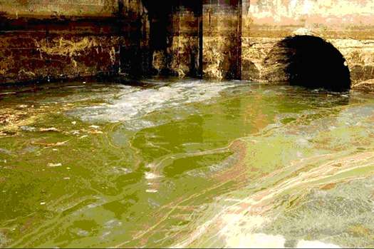 10 of the worst offensive smells ever « WeirdlyOdd.com